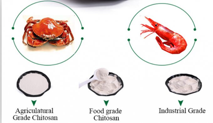 Food Grade COS Chitosan Oligosaccharide Anti Tumor Anti Inflammatory