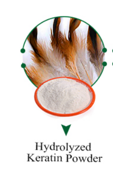 Chicken Feather Hydrolyzed Keratin Protein Powder 100% Water Soluble