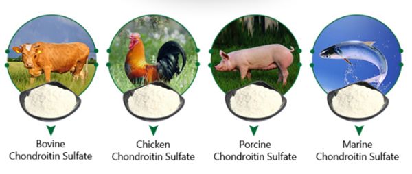 100% Through 80 Mesh Bovine Cartilage Chondroitin Sulfate Powder 25kg/Drum